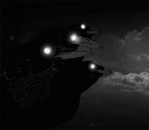 GIF crows - animated GIF on GIFER