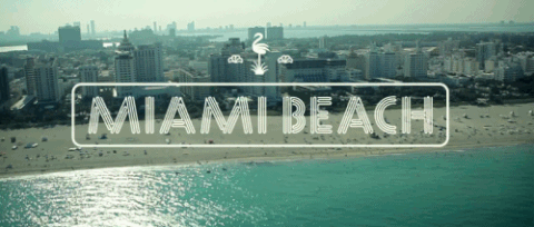 Miami beach GIF - Encontrar em GIFER