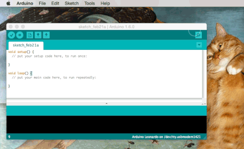 Programming GIF - Find on GIFER