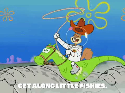 Spongebob squarepants season 5 GIF - Find on GIFER