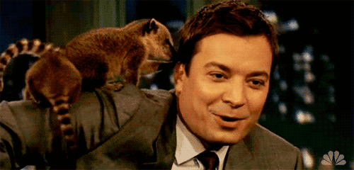 GIF jimmy fallon - animated GIF on GIFER