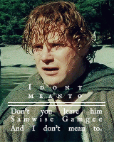 Frodo movies sam GIF - Find on GIFER