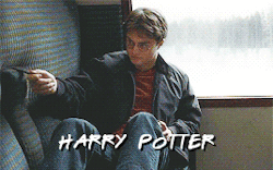GIF harry - animated GIF on GIFER