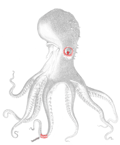 Bus driver stu GIF - Find on GIFER