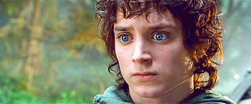 Frodo the lord of the rings fellowship of the ring GIF - Find on GIFER
