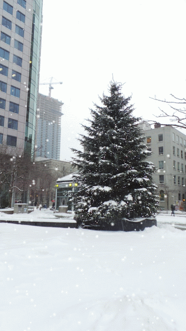 Christmas toronto GIF - Find on GIFER