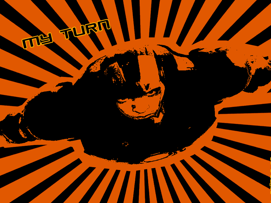 GIF orange - animated GIF on GIFER