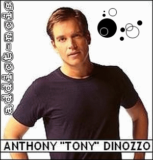 Anthony dinozzo GIF - Find on GIFER