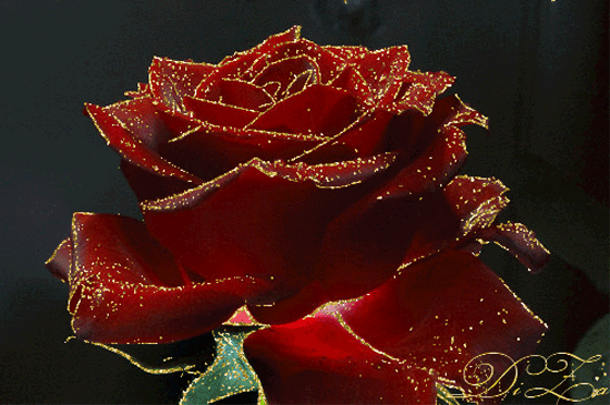 Extreme GIF - Find on GIFER