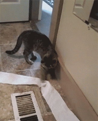 People mess GIF - Find on GIFER