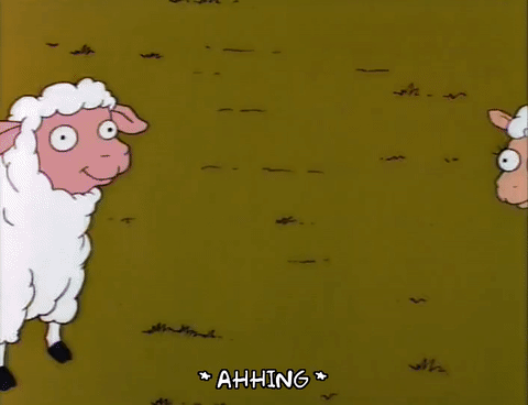 GIF sheep season 7 episode 5 - animated GIF on GIFER