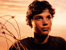 The outsiders GIF - Find on GIFER