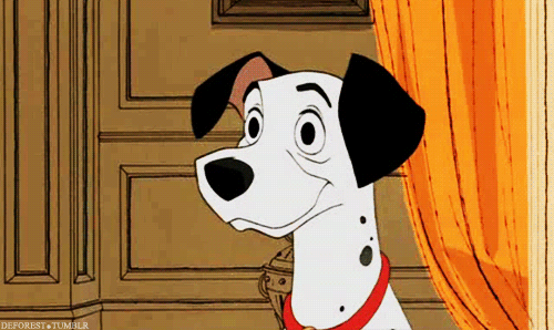 Dog GIF - Find on GIFER