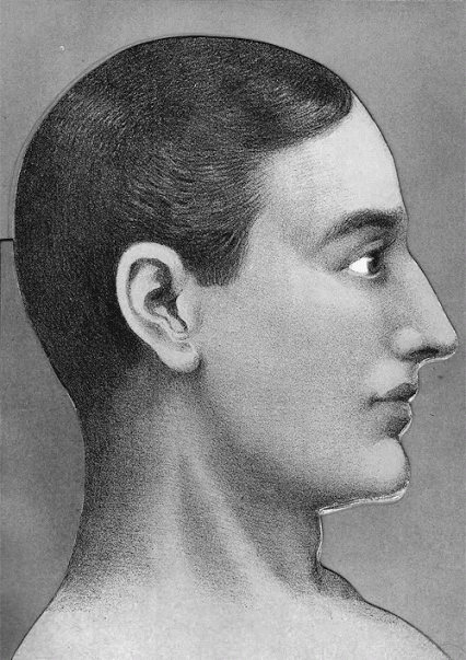 Anatomy head educational GIF - Find on GIFER