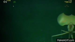 Squid GIF - Find on GIFER