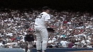 GIF new york yankees - animated GIF on GIFER