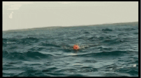 Great GIF - Find on GIFER