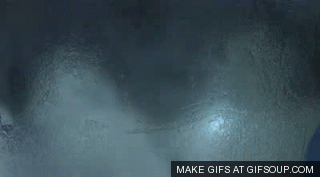 GIF glass - animated GIF on GIFER