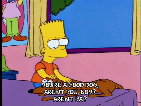 Season 5 bart simpson GIF - Find on GIFER