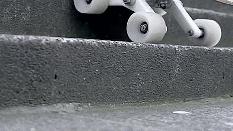 Rover GIF - Find on GIFER