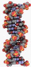 Science dna 3d GIF - Find on GIFER