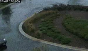 GIF fail cars driving - animated GIF on GIFER