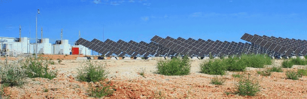 Hybrid GIF - Find on GIFER