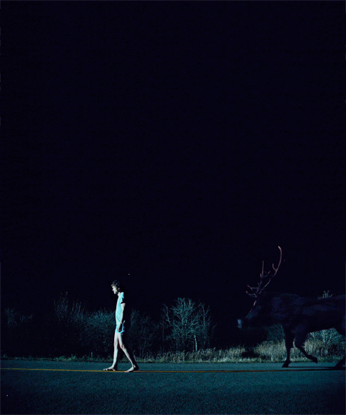 GIF will graham - animated GIF on GIFER