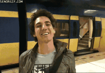 GIF collision hilarious funny - animated GIF on GIFER