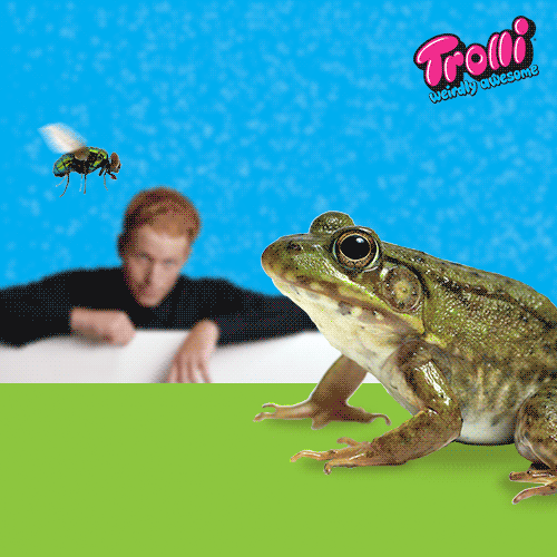 Fly frog trolli GIF - Find on GIFER