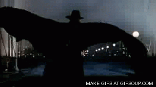 Shadow GIF - Find on GIFER