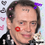 GIF steve buscemi - animated GIF on GIFER