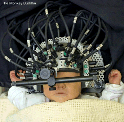 Baby GIF - Find on GIFER