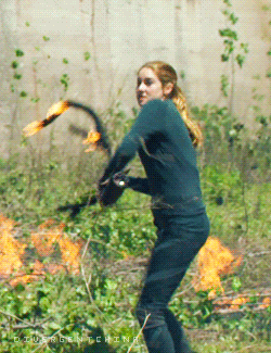 Tris prior GIF - Find on GIFER