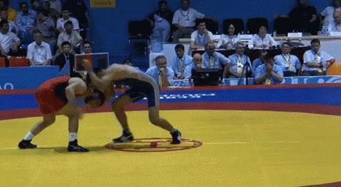 Wrestling GIF - Find on GIFER