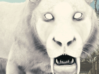 Bc GIF - Find on GIFER