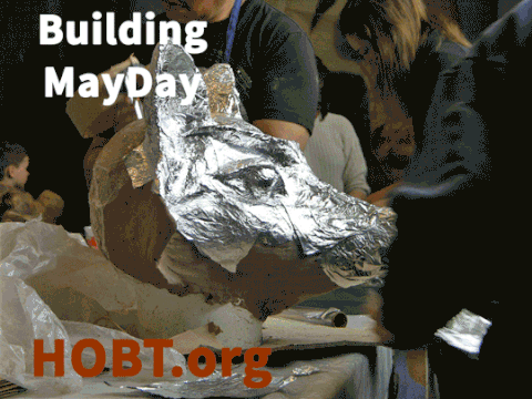 Silver fox GIF - Find on GIFER