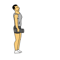GIF weights - animated GIF on GIFER