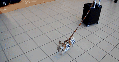 Jay rock GIF - Find on GIFER