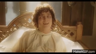 Lord Of The Rings Gif Frodo