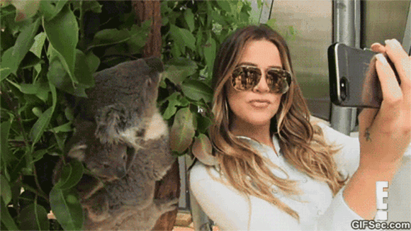 Selfie GIF - Find on GIFER