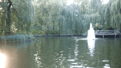 Fountain landscape park GIF - Find on GIFER