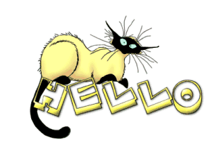 Hello GIF - Find on GIFER