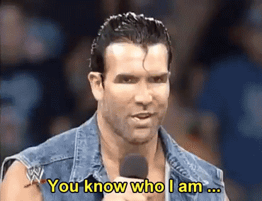 Wcw GIF - Find on GIFER