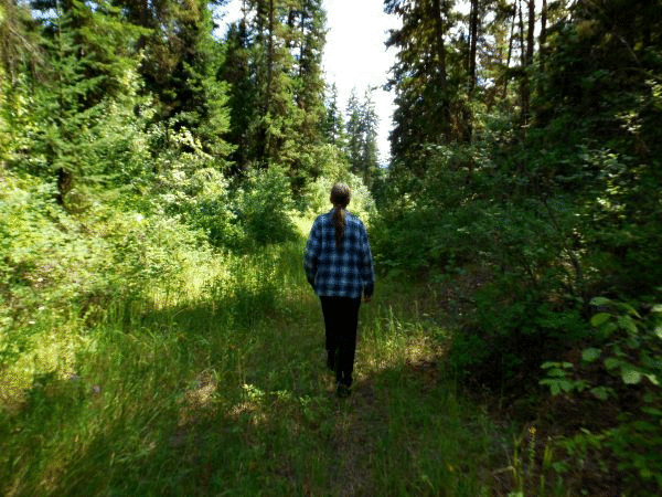 Hiking GIF - Find on GIFER