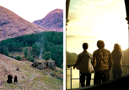 Hp GIF - Find on GIFER