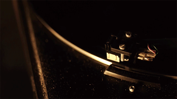 Shot cinemagraphs bit GIF - Find on GIFER