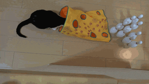 Strike GIF - Find on GIFER