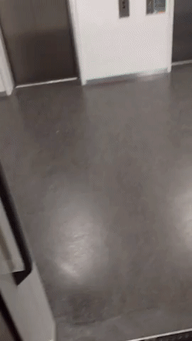 Lift doors GIF - Find on GIFER