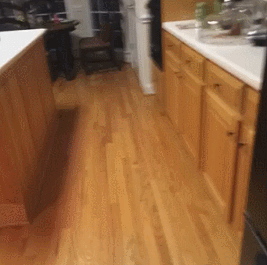 Fridge GIF - Find on GIFER